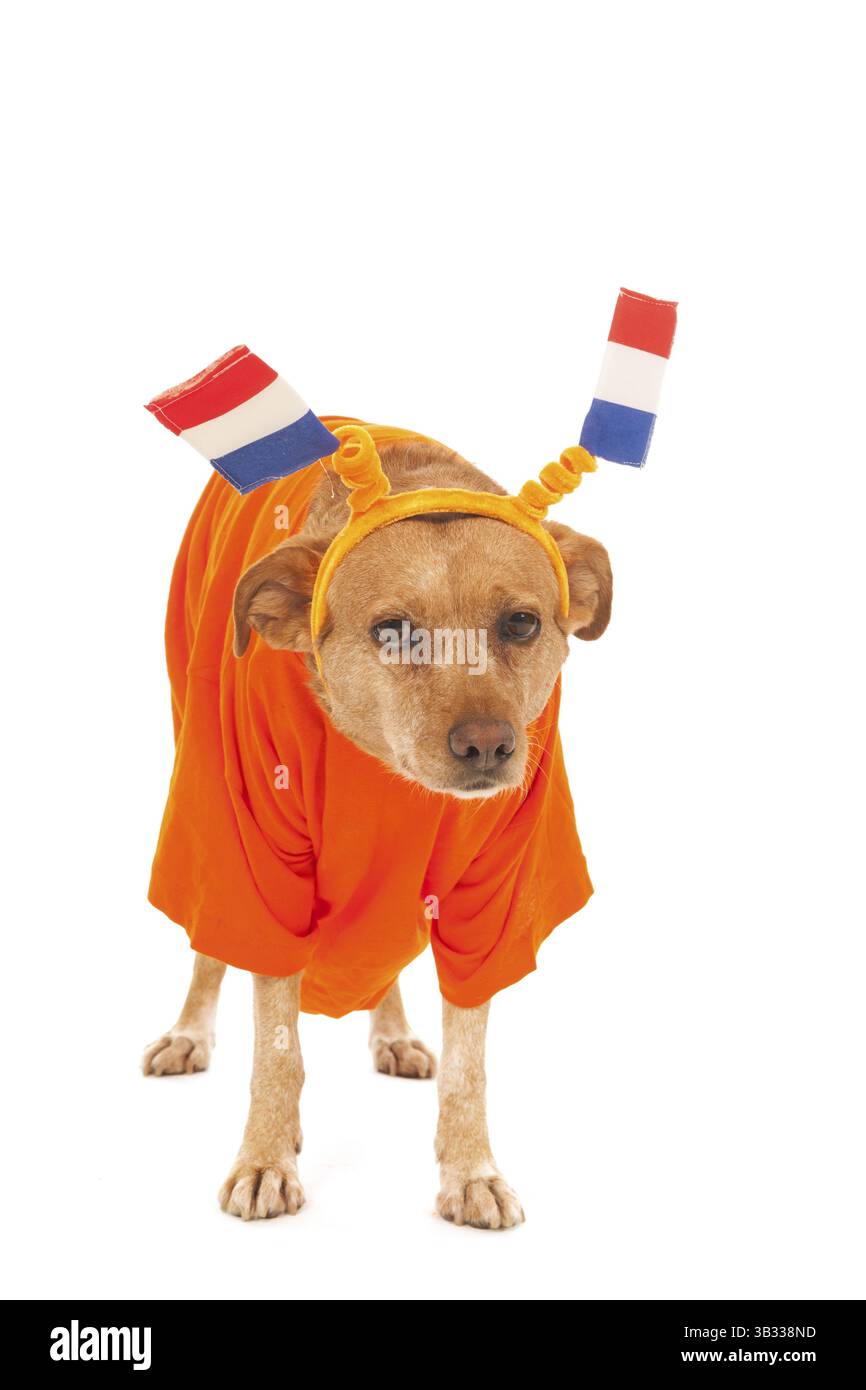 Supporter flags Cut Out Stock Images & Pictures - Alamy