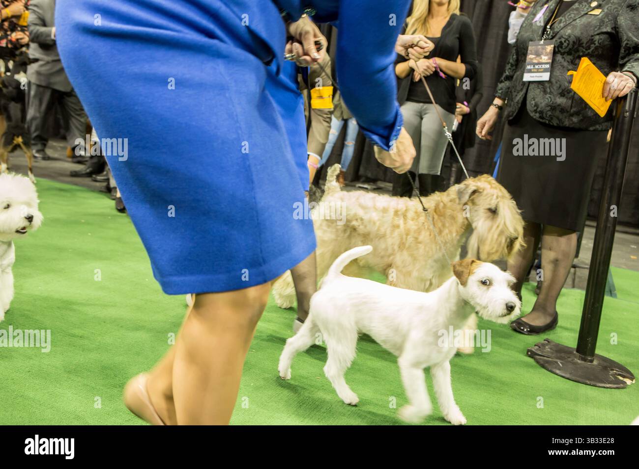 Feb. 16, 2016 - New York, NY, US - New York, NY - 16 February 2016 ...