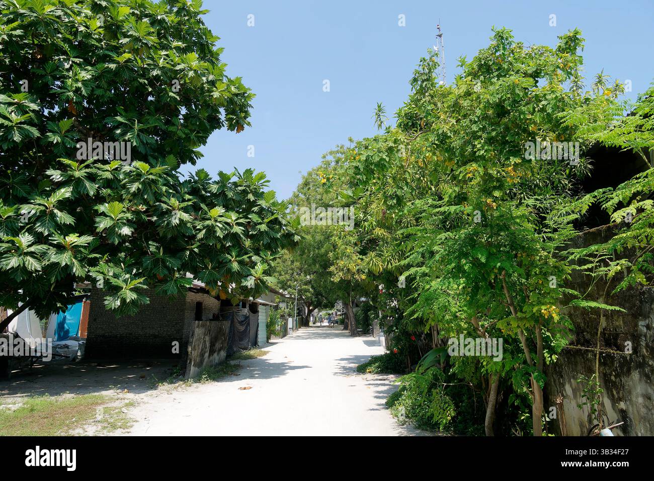 beach, Fulidhoo Island, Maldive Islands, Vaavu Atoll, Asia Stock Photo ...