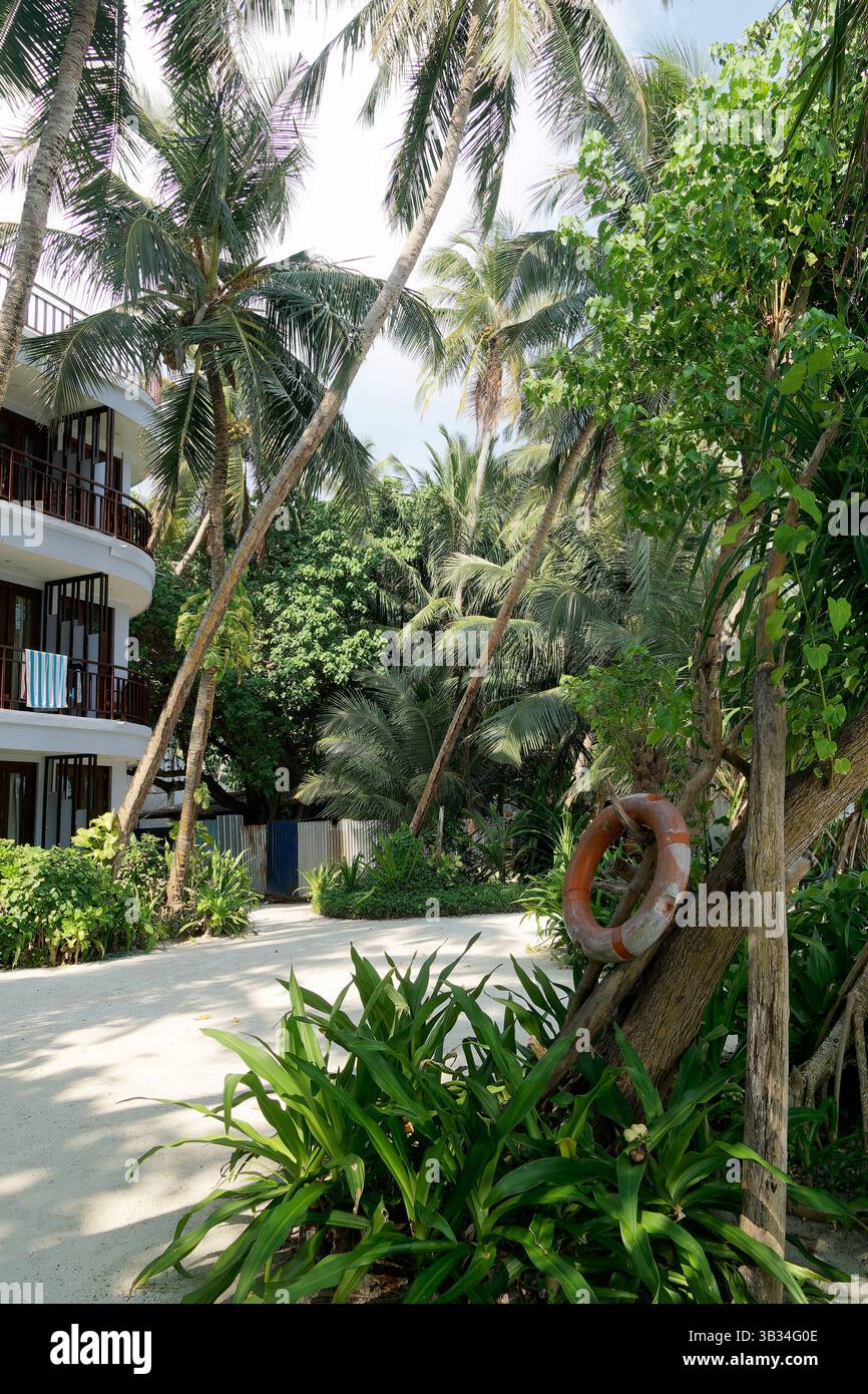 beach, Fulidhoo Island, Maldive Islands, Vaavu Atoll, Asia Stock Photo ...