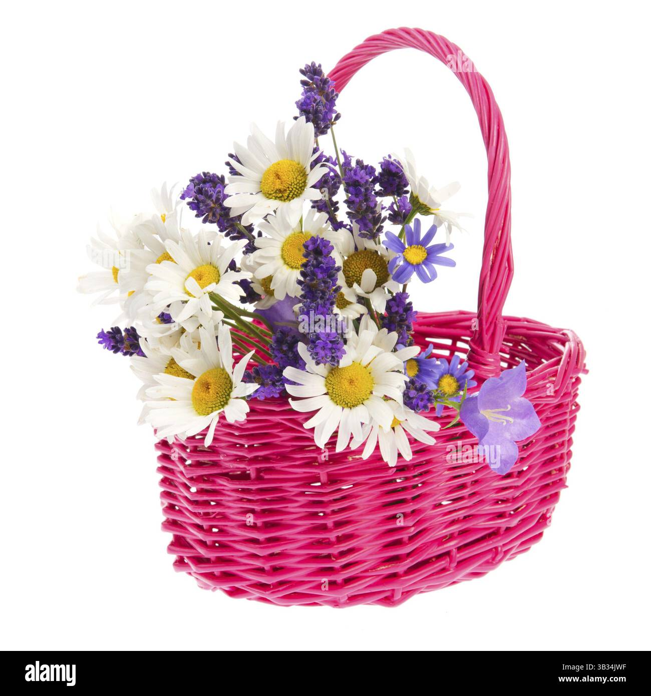 Colorful pink basket wild flowers isolated over white Stock Photo - Alamy