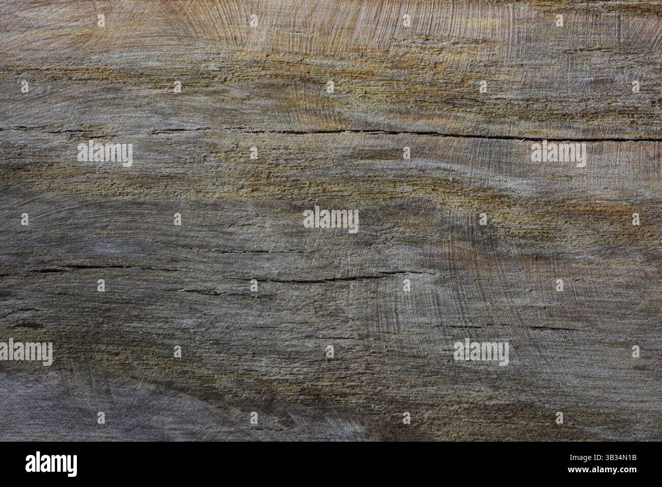 Old light brown shabby rotten wooden board with cracks and grooves ...