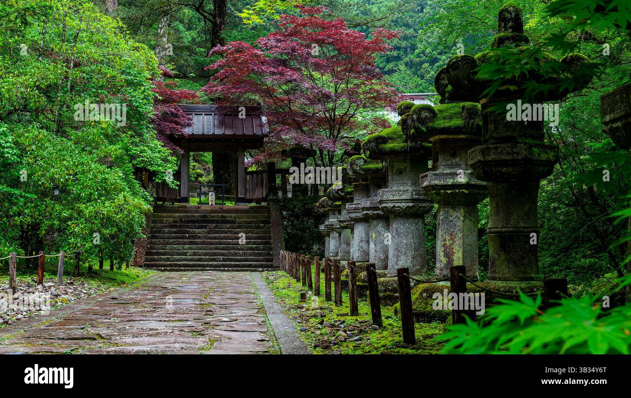 Serene temple pathway lined hi-res stock photography and images - Alamy