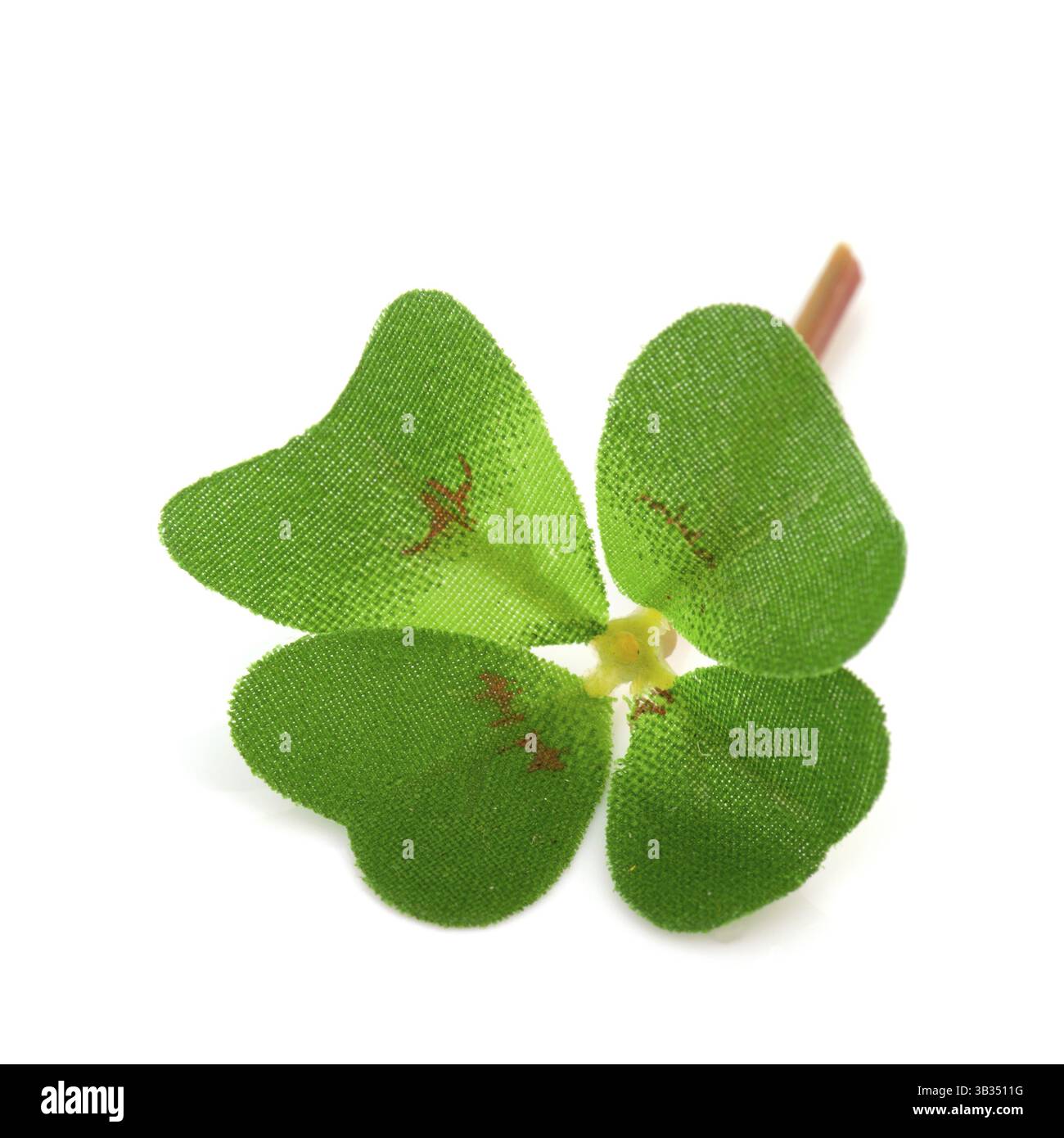 Clover four from textile isolated over white background Stock Photo - Alamy