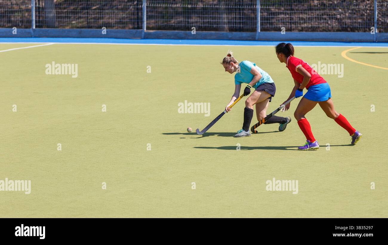 Two hockey players fighting hi-res stock photography and images - Alamy