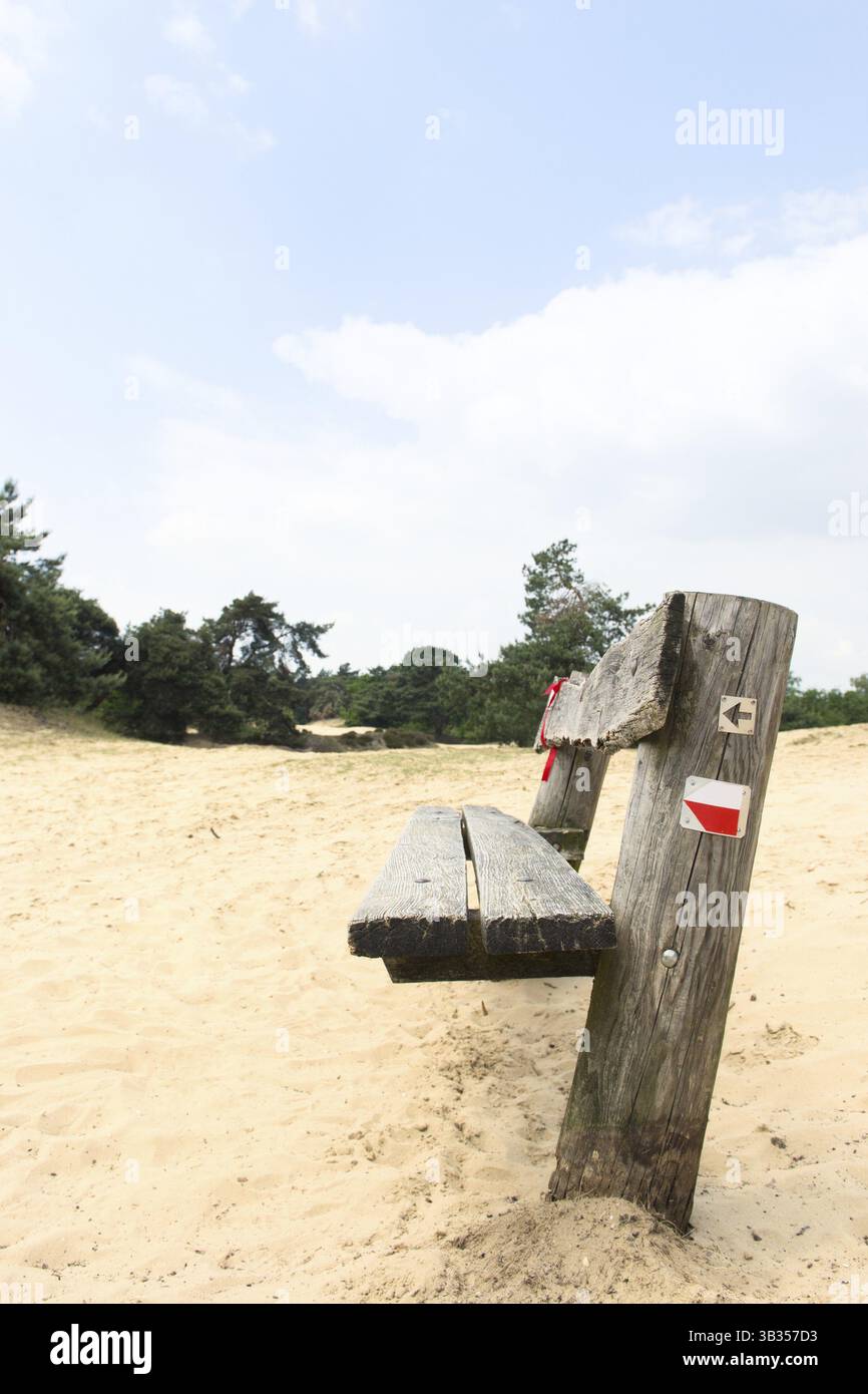 Empty wooden bench in nature landscape Stock Photo - Alamy
