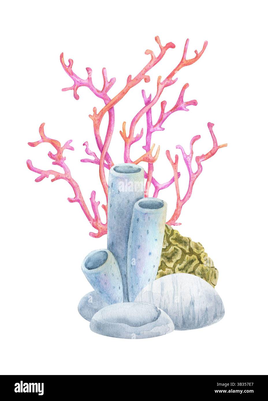 Watercolor illustration of coral reef life with pink coral, sea sponge ...