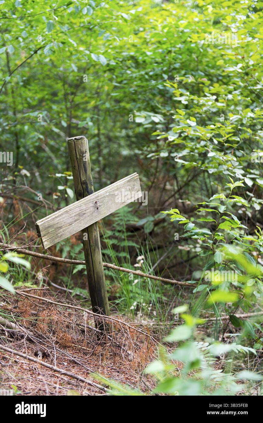 Simple wooden cross on nature grave in the forest Stock Photo - Alamy