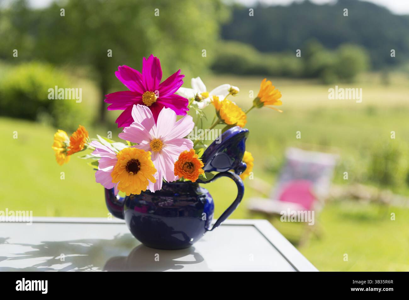 Garden teapot plant hi-res stock photography and images - Alamy