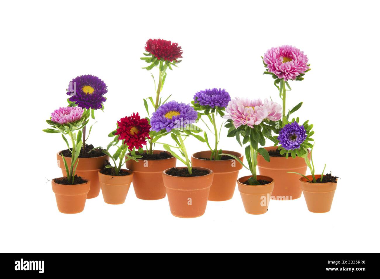 Two flower pots on Cut Out Stock Images & Pictures - Alamy
