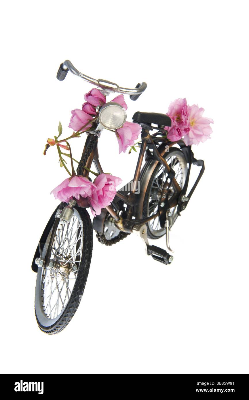 Female retro bike wwith cherry blossom flowers Stock Photo - Alamy