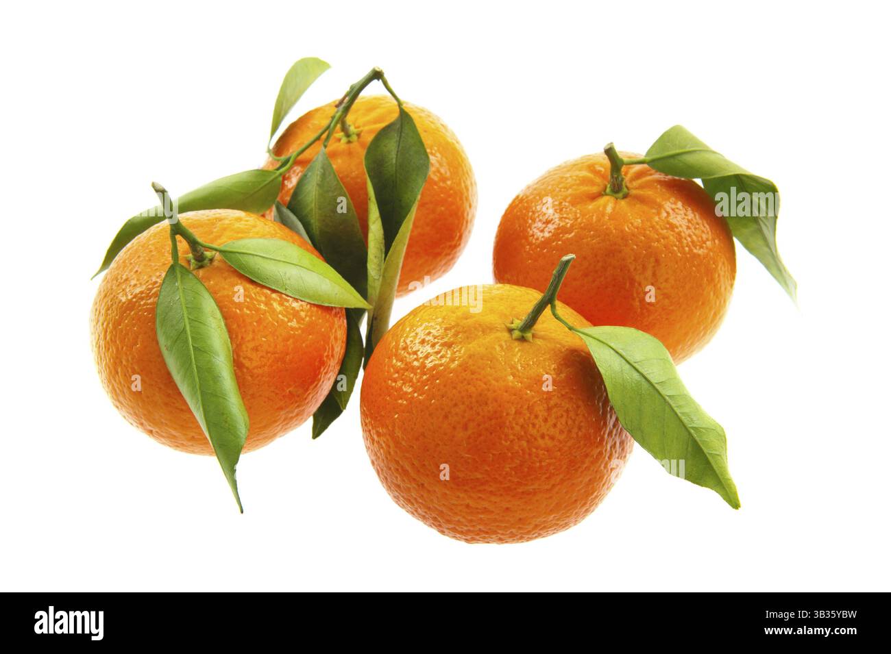 Fresh tangerines with leaves isolated over white Stock Photo - Alamy
