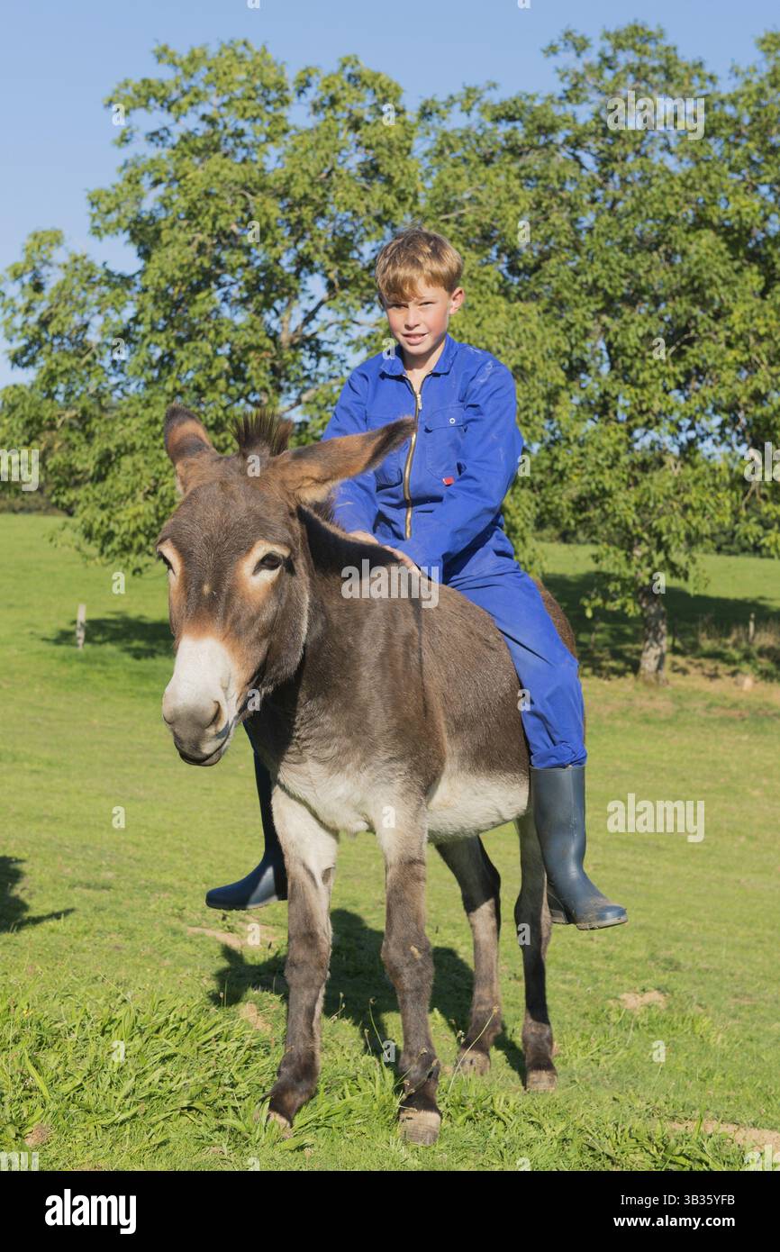 Asian boy working farm hi-res stock photography and images - Alamy