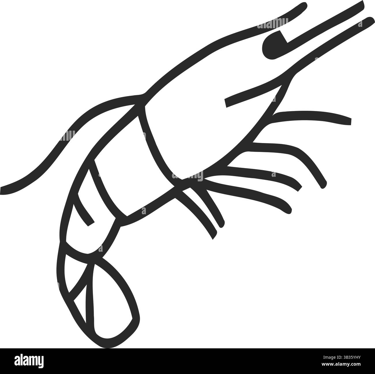 Shrimp anatomy Stock Vector Images - Alamy