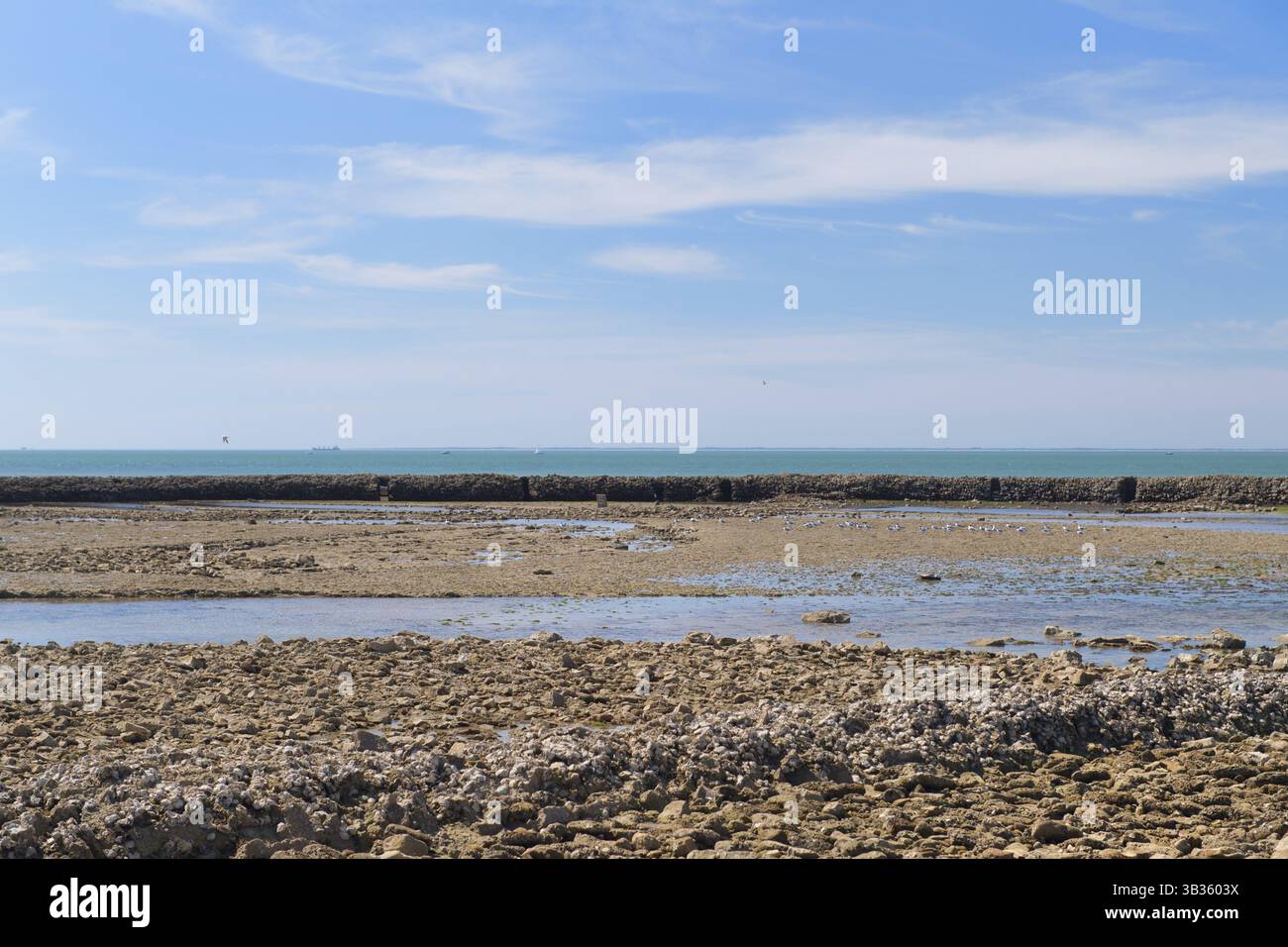 Beach in Saint Marie en Re on island Ile de Re Stock Photo - Alamy