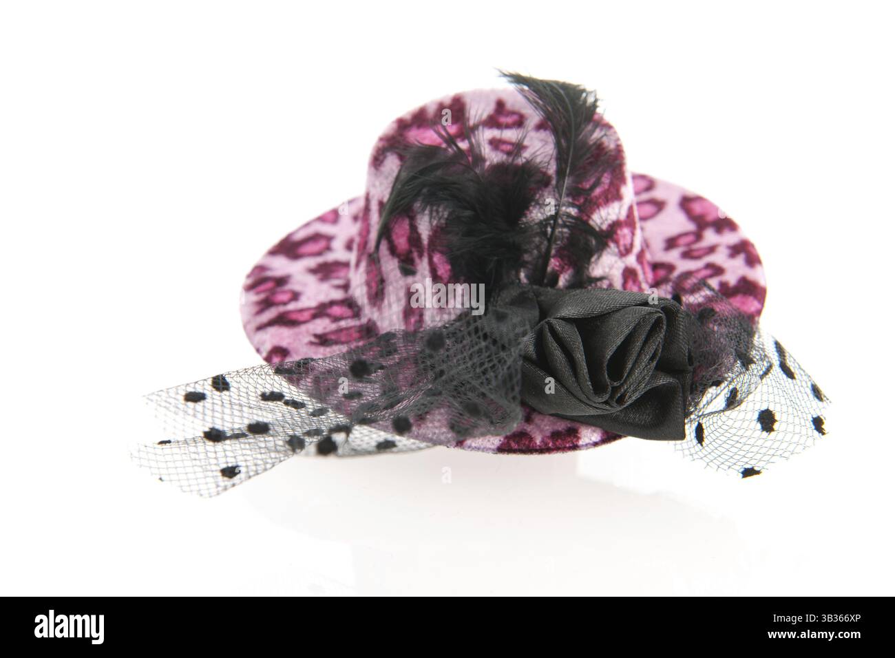 Female feathers Cut Out Stock Images & Pictures - Alamy