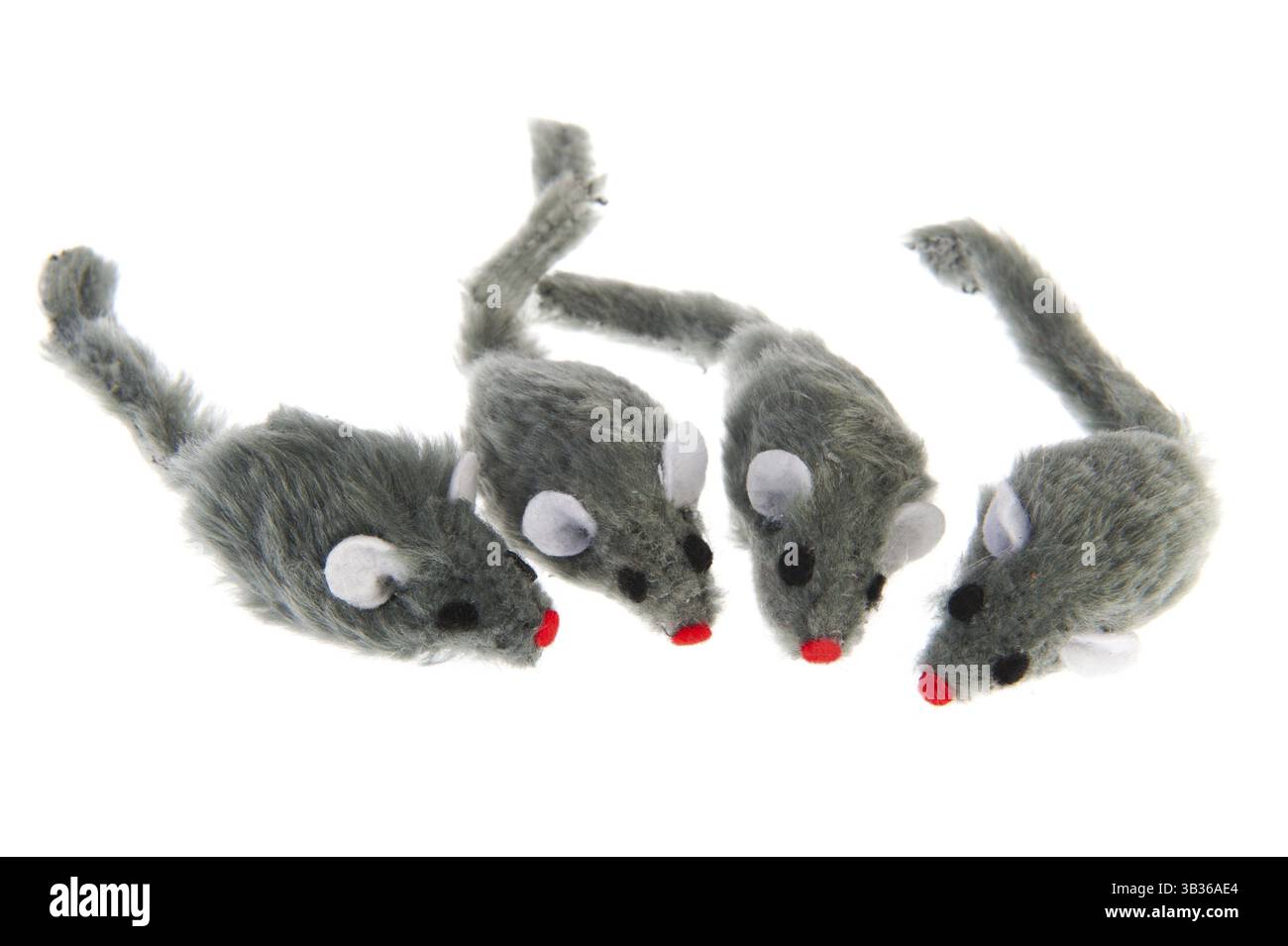 Four stuffed mice as cat toys isolated over white background Stock ...