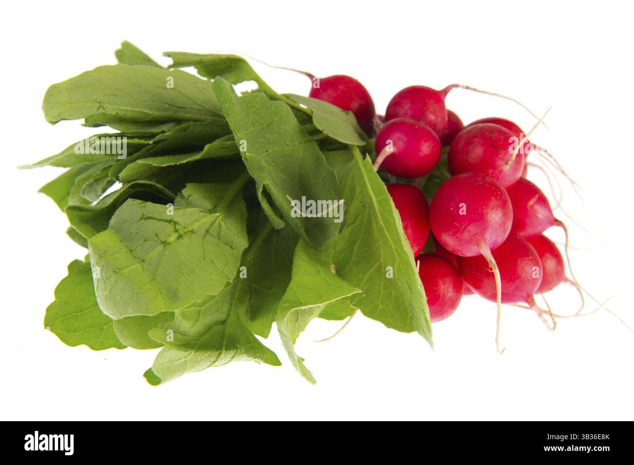 Bunch of red radish isolated over white background Stock Photo - Alamy