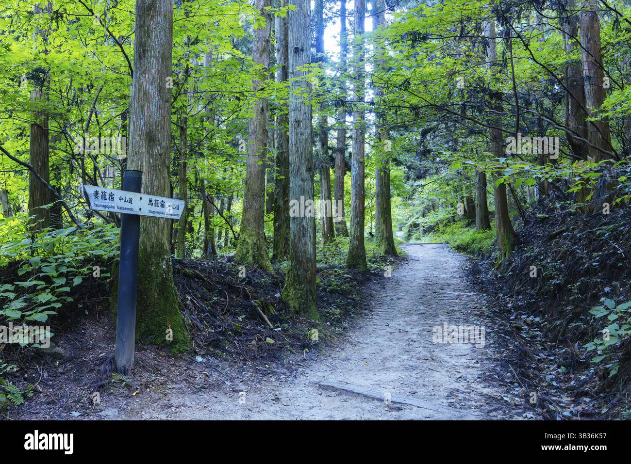 Hiking path landscape on the famous Magome-Tsumago Trail as part of the ...