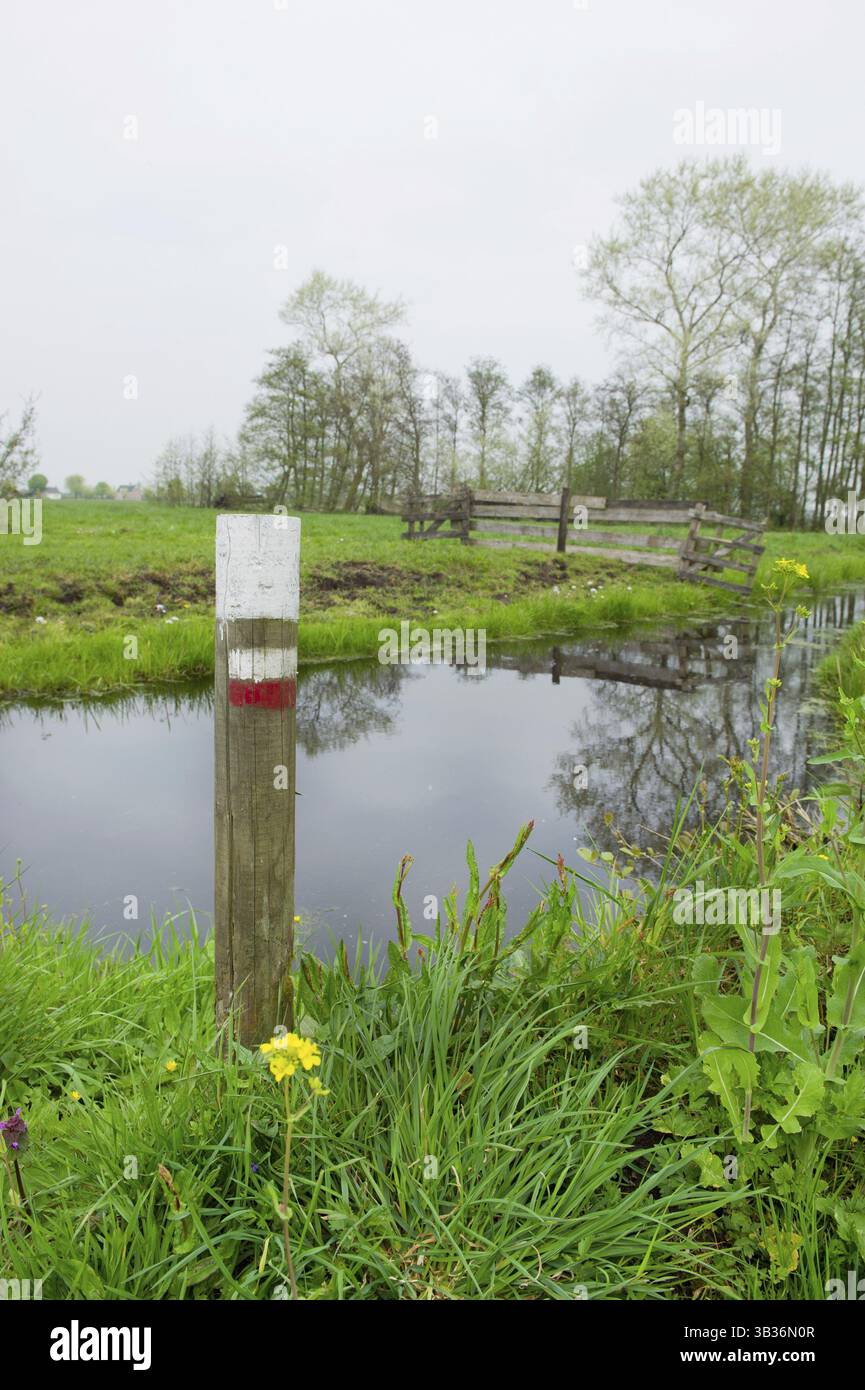 Walking route mark on a pole in nature environment Stock Photo - Alamy