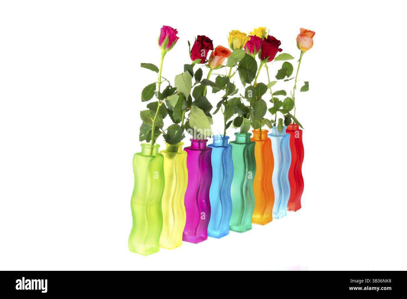 Vases with plants Cut Out Stock Images & Pictures - Alamy