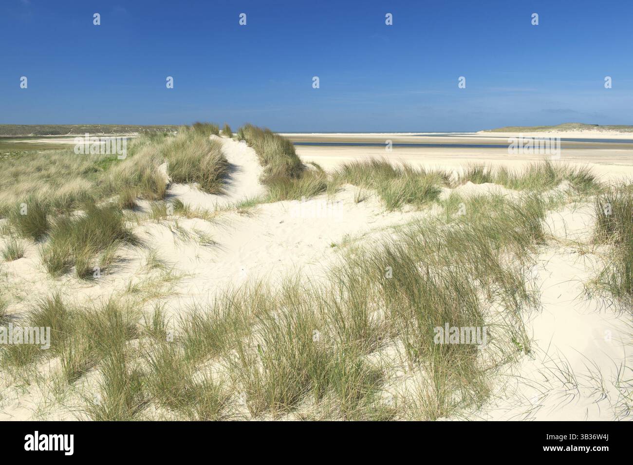 Top of sand dunes hi-res stock photography and images - Alamy