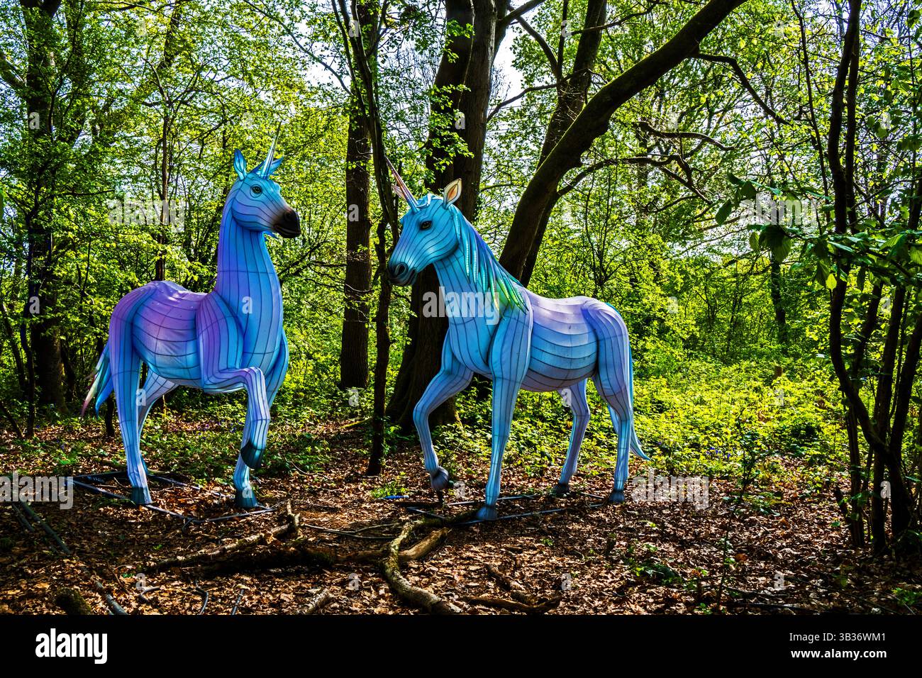 Creative models hi-res stock photography and images - Alamy