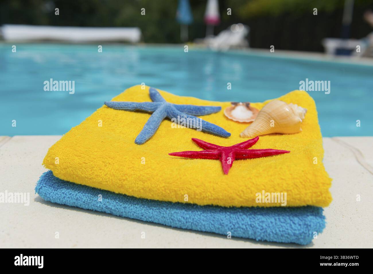 Swimming shells hi-res stock photography and images - Alamy