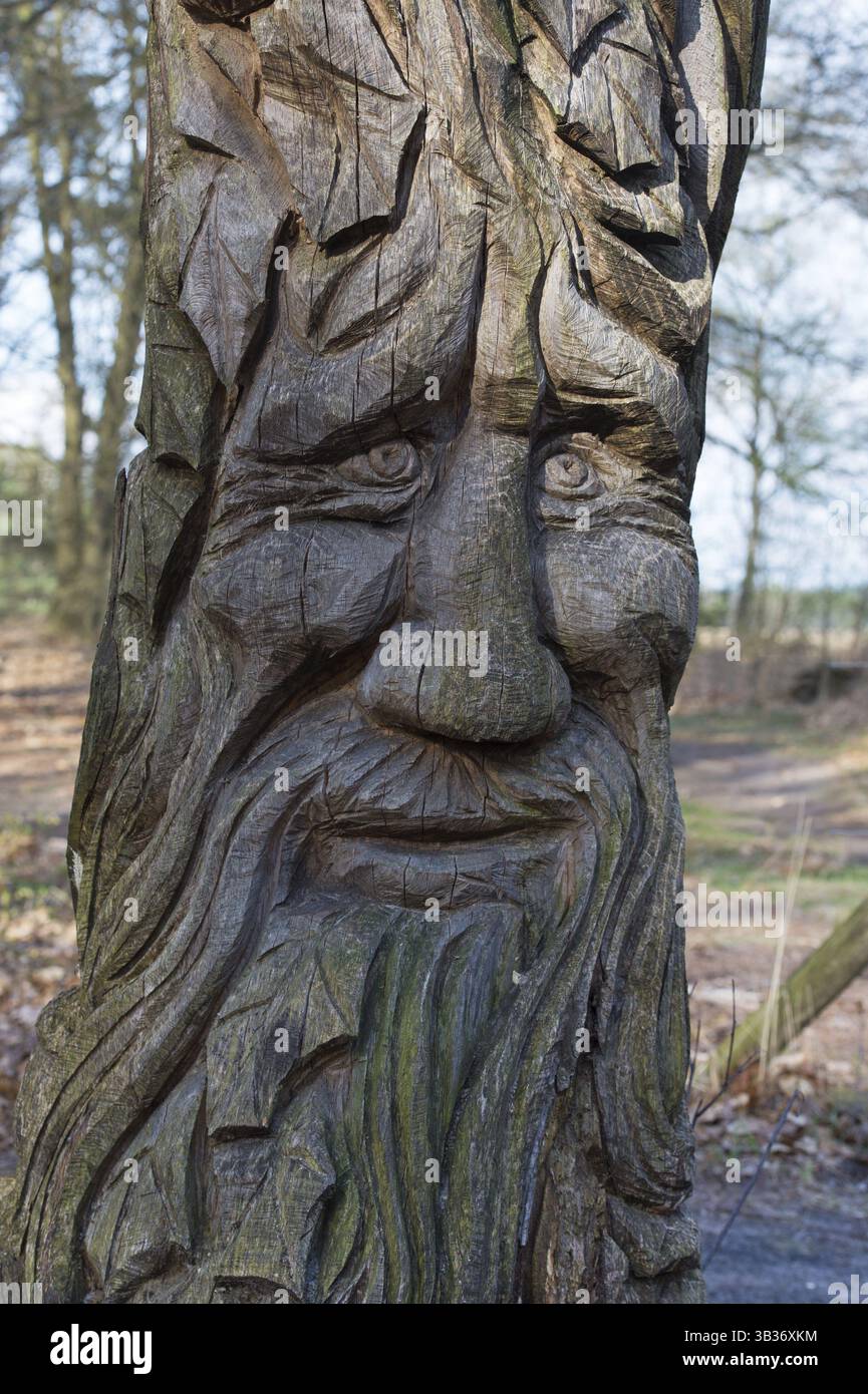 Wood carved tree with human face Stock Photo - Alamy