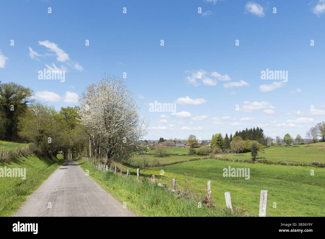Typical landscape in French Limousin Stock Photo - Alamy