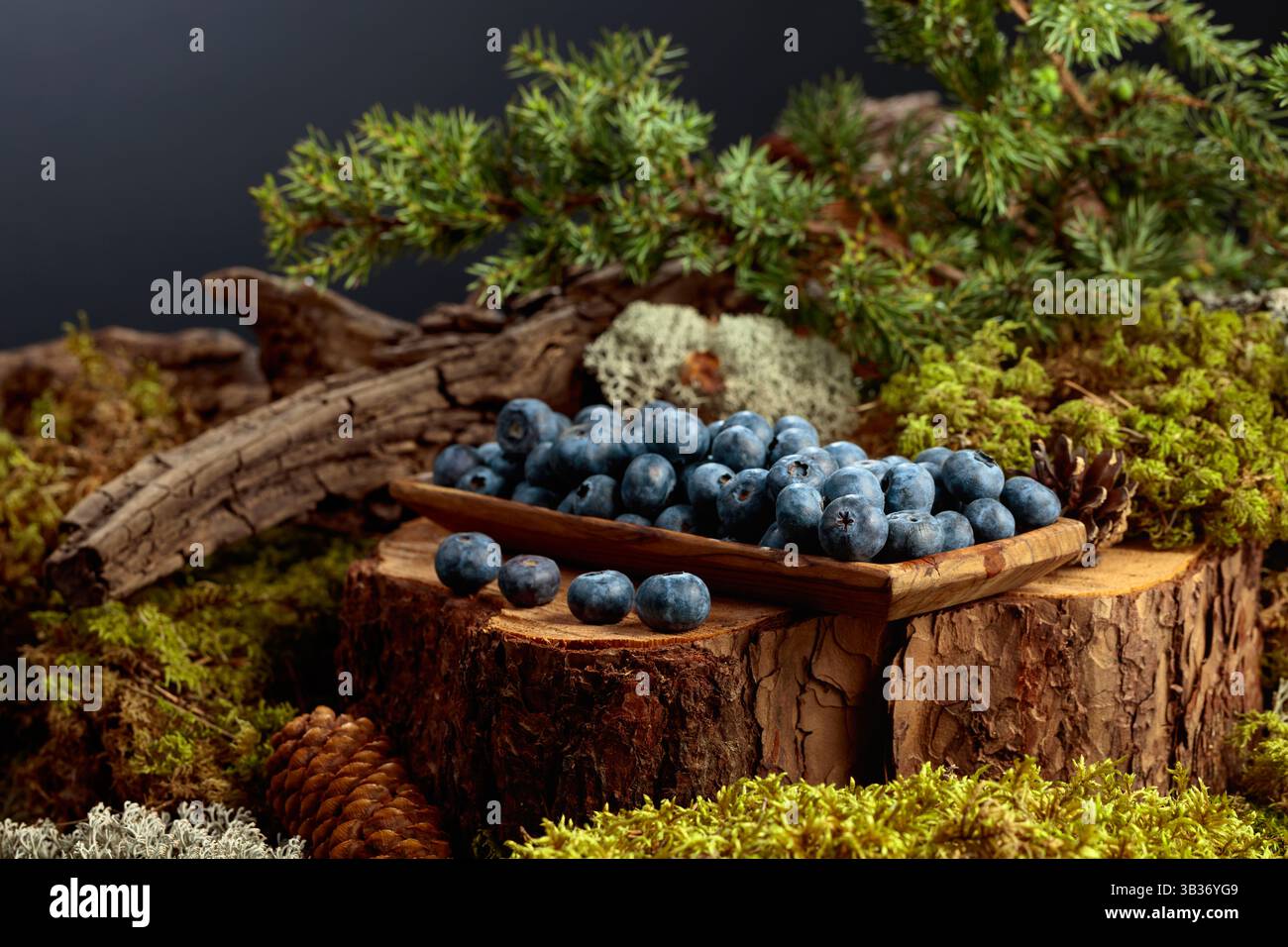 Wild blueberries rich in vitamins and minerals, nestled in a wooden ...