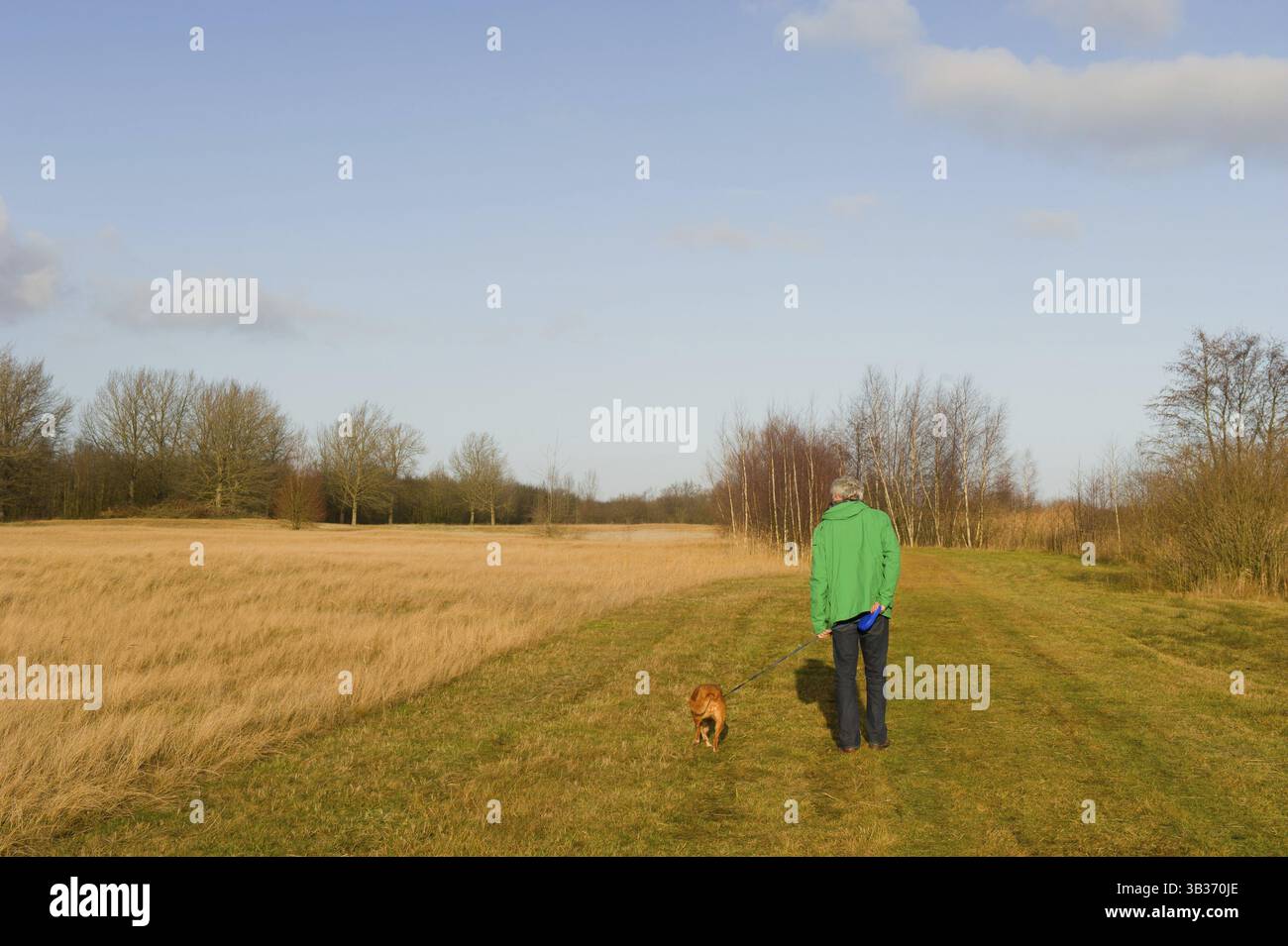 Walking the dog in nature landscape Stock Photo - Alamy