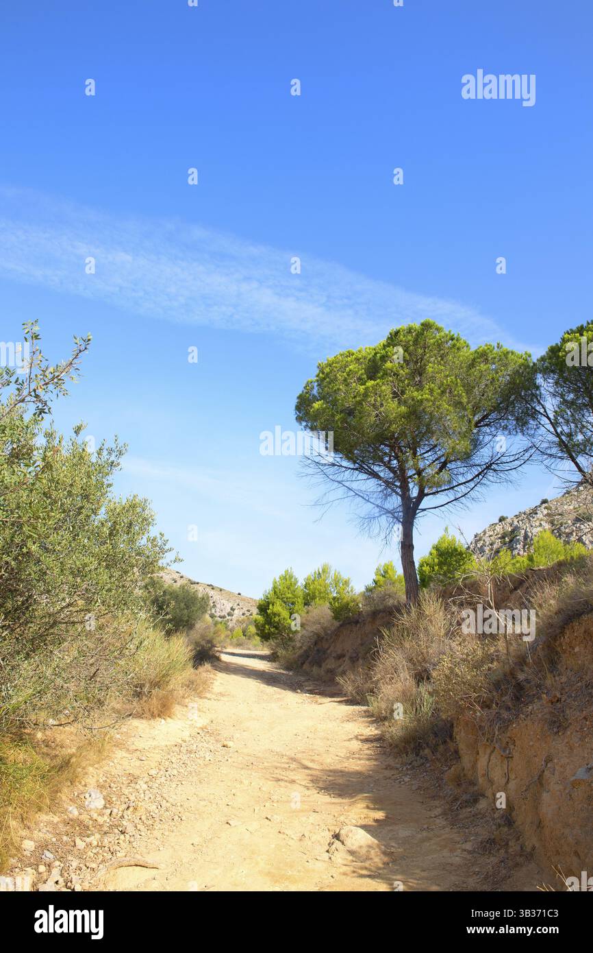 Montgri range hi-res stock photography and images - Alamy