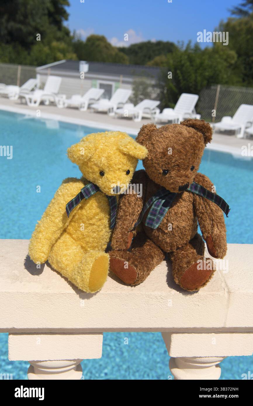 Two toy bears in love on wall at swimming pool Stock Photo - Alamy