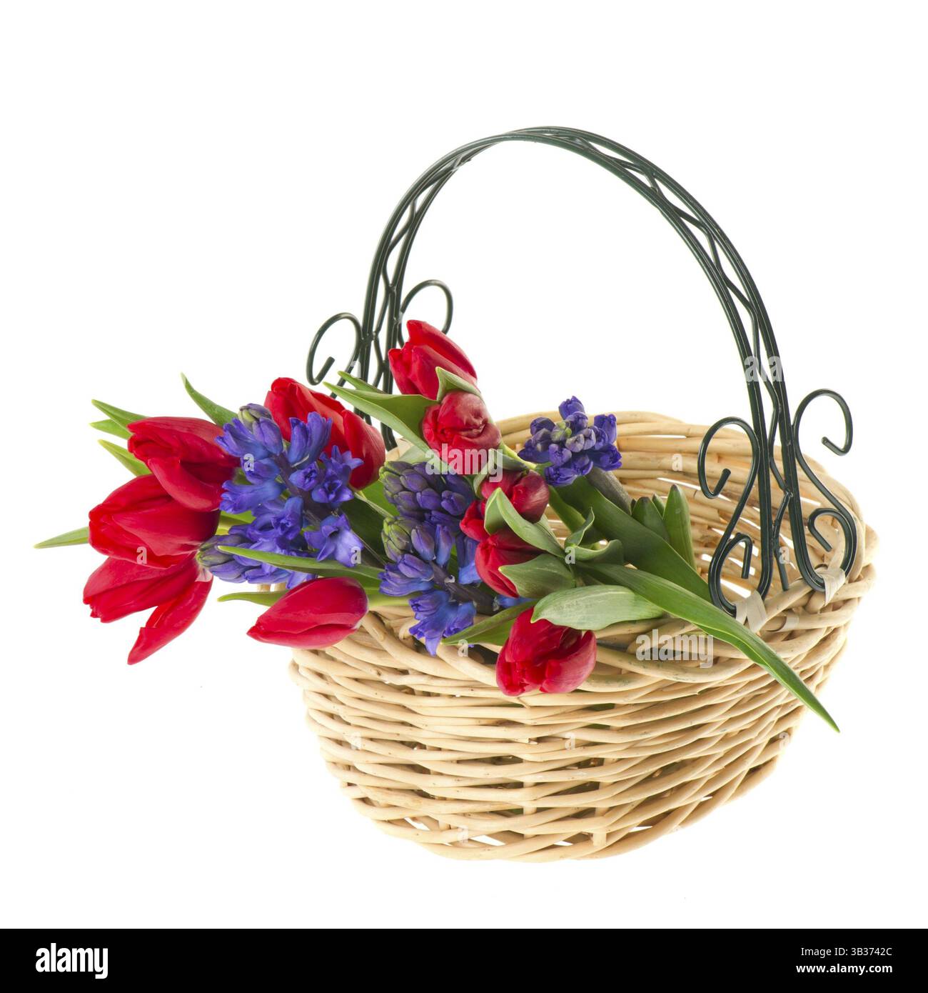 On spring day in Cut Out Stock Images & Pictures - Alamy
