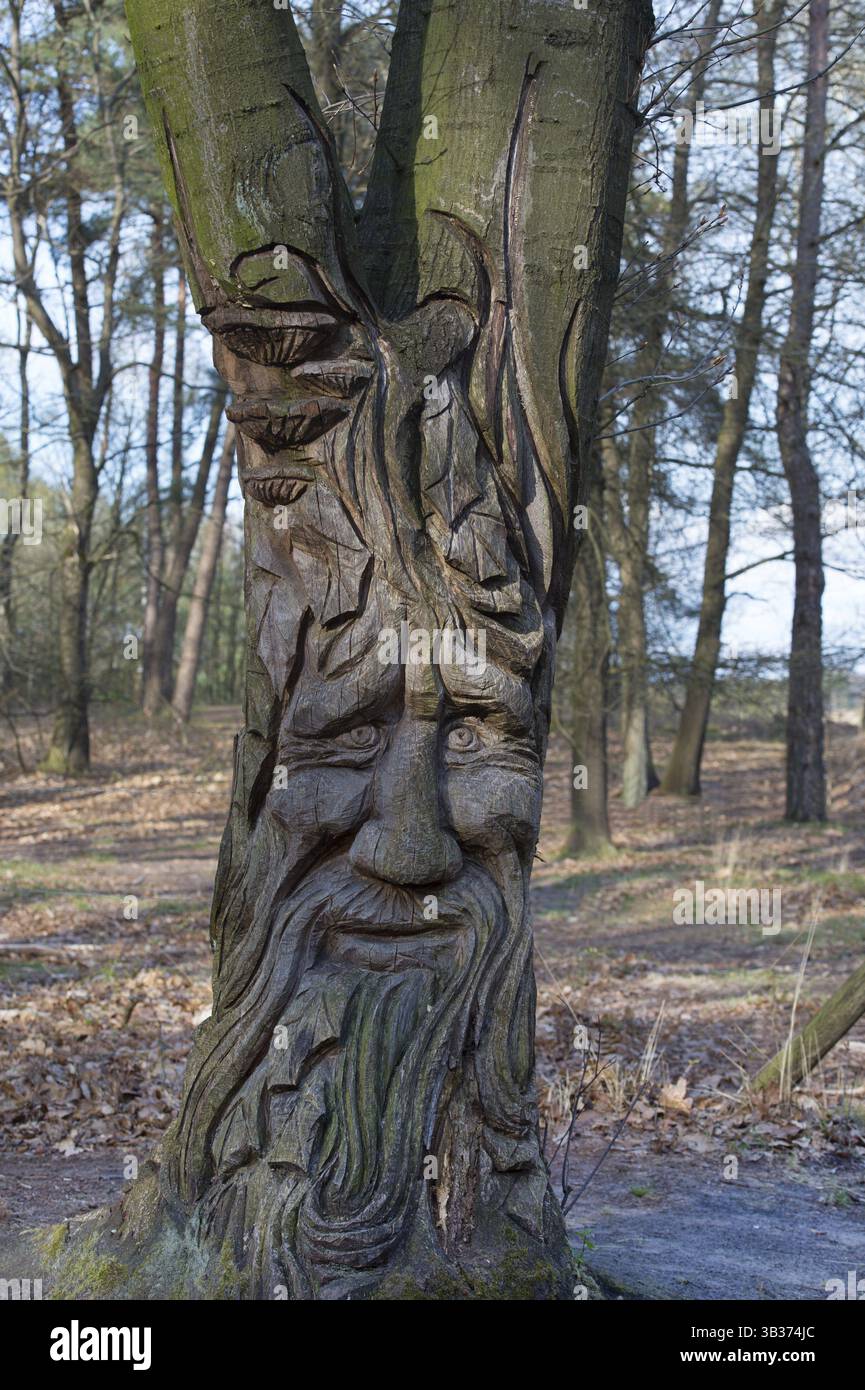 Wood carved tree with human face Stock Photo - Alamy