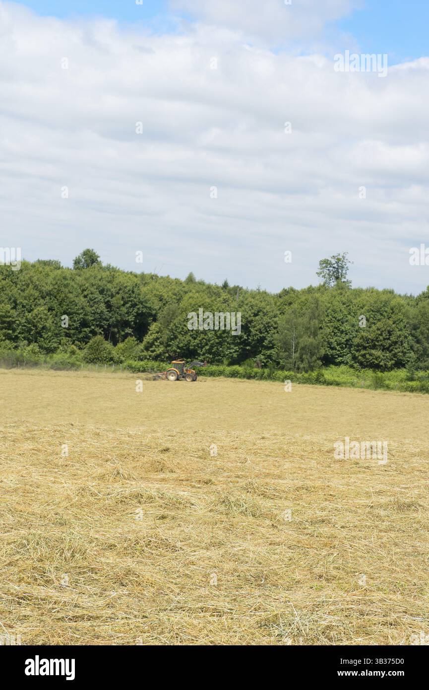 French landscape with hay in the fields Stock Photo - Alamy