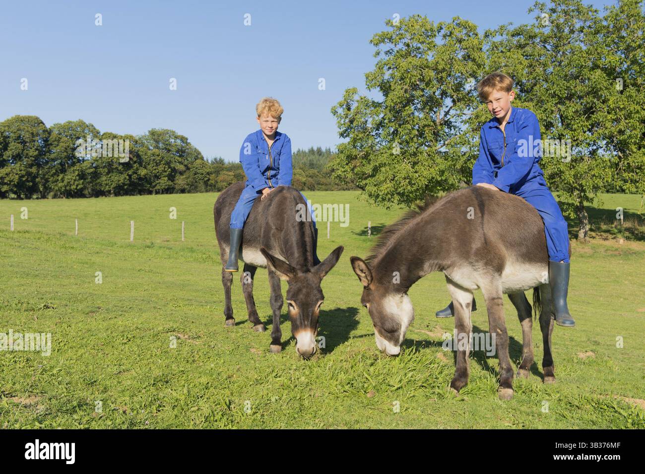 Farm boys riding on their donkeys Stock Photo - Alamy