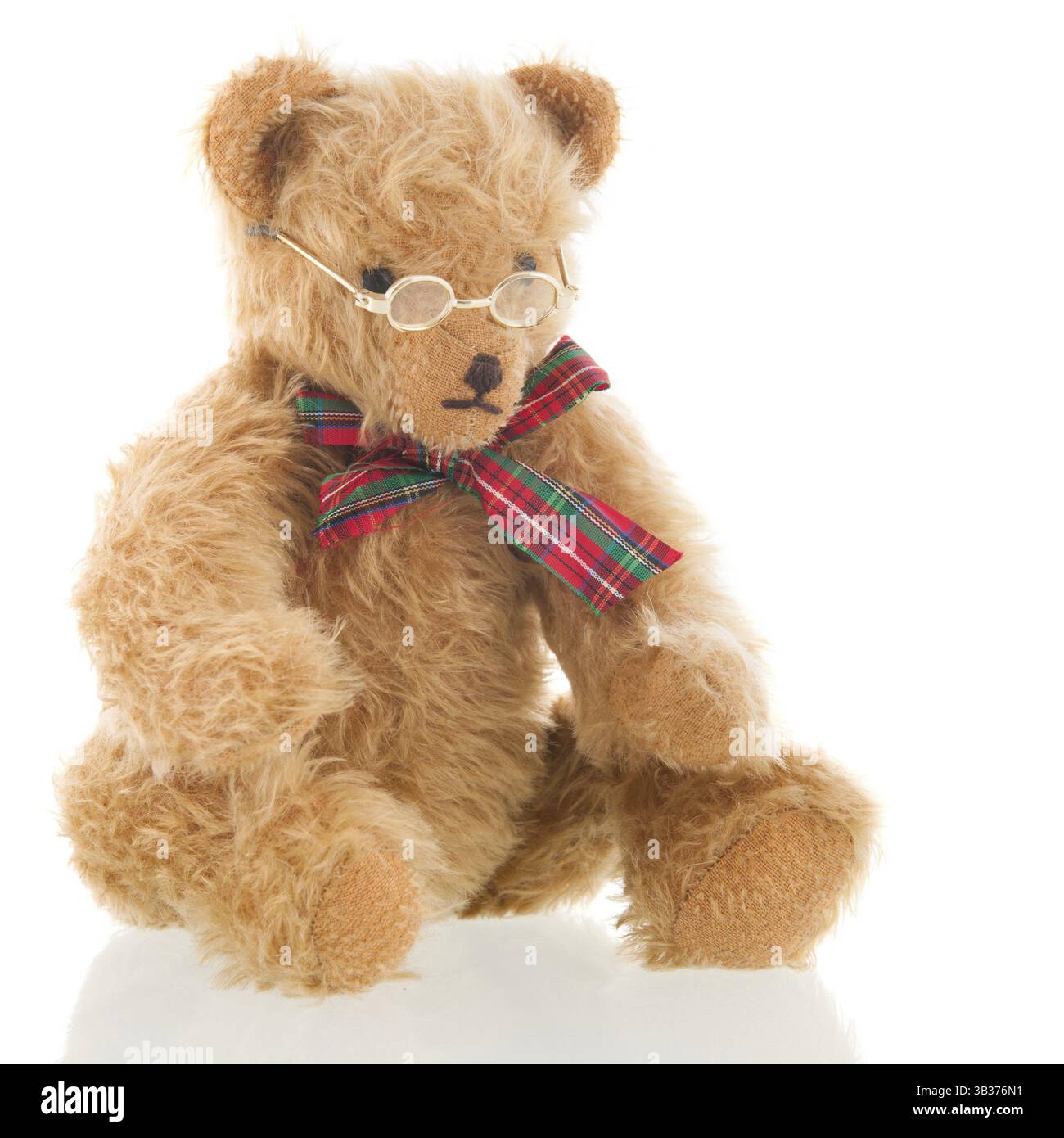 Stuffed intelligent bear with glasses isolated over white background ...