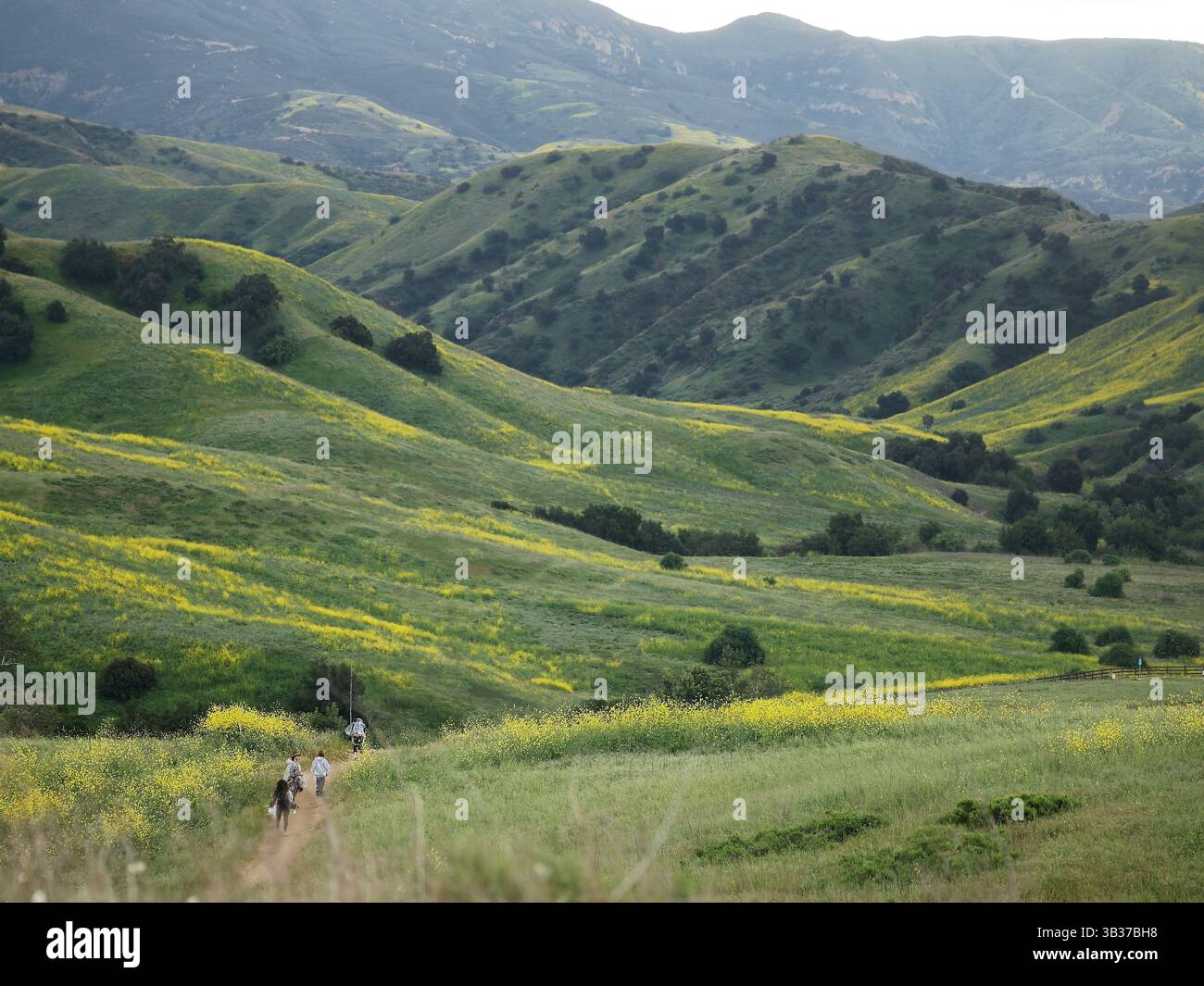 Chino Hills, USA. 28th Apr, 2025. People hike in rolling hills covered ...