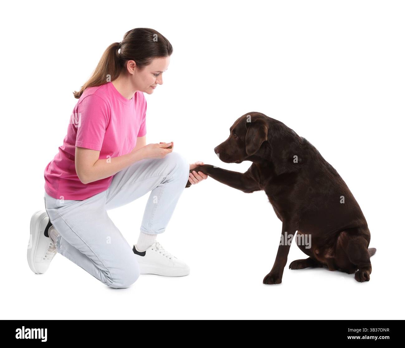 Woman friend dog on Cut Out Stock Images & Pictures - Alamy