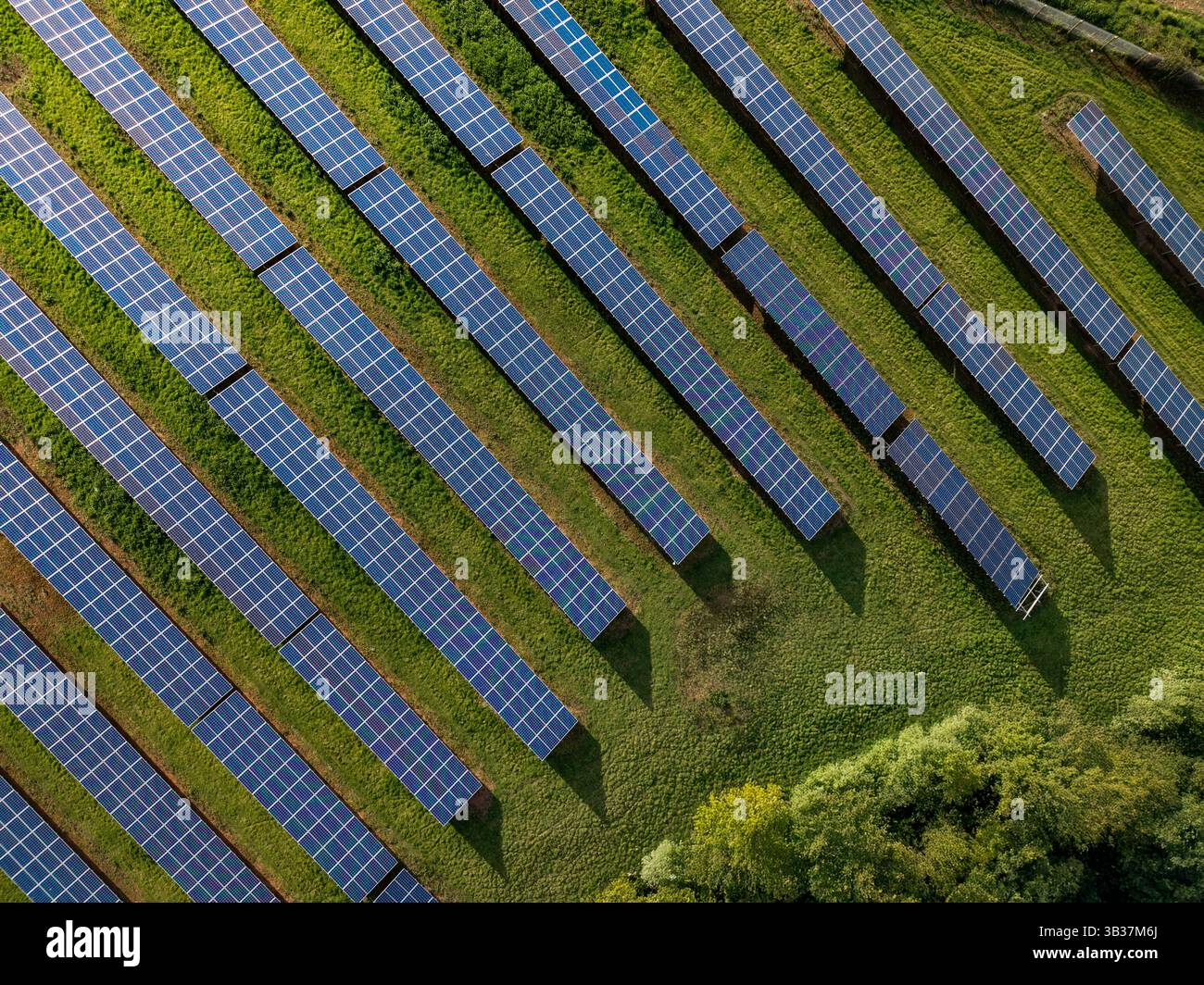 Rows of photovoltaic solar panels on agricultural land generating clean ...