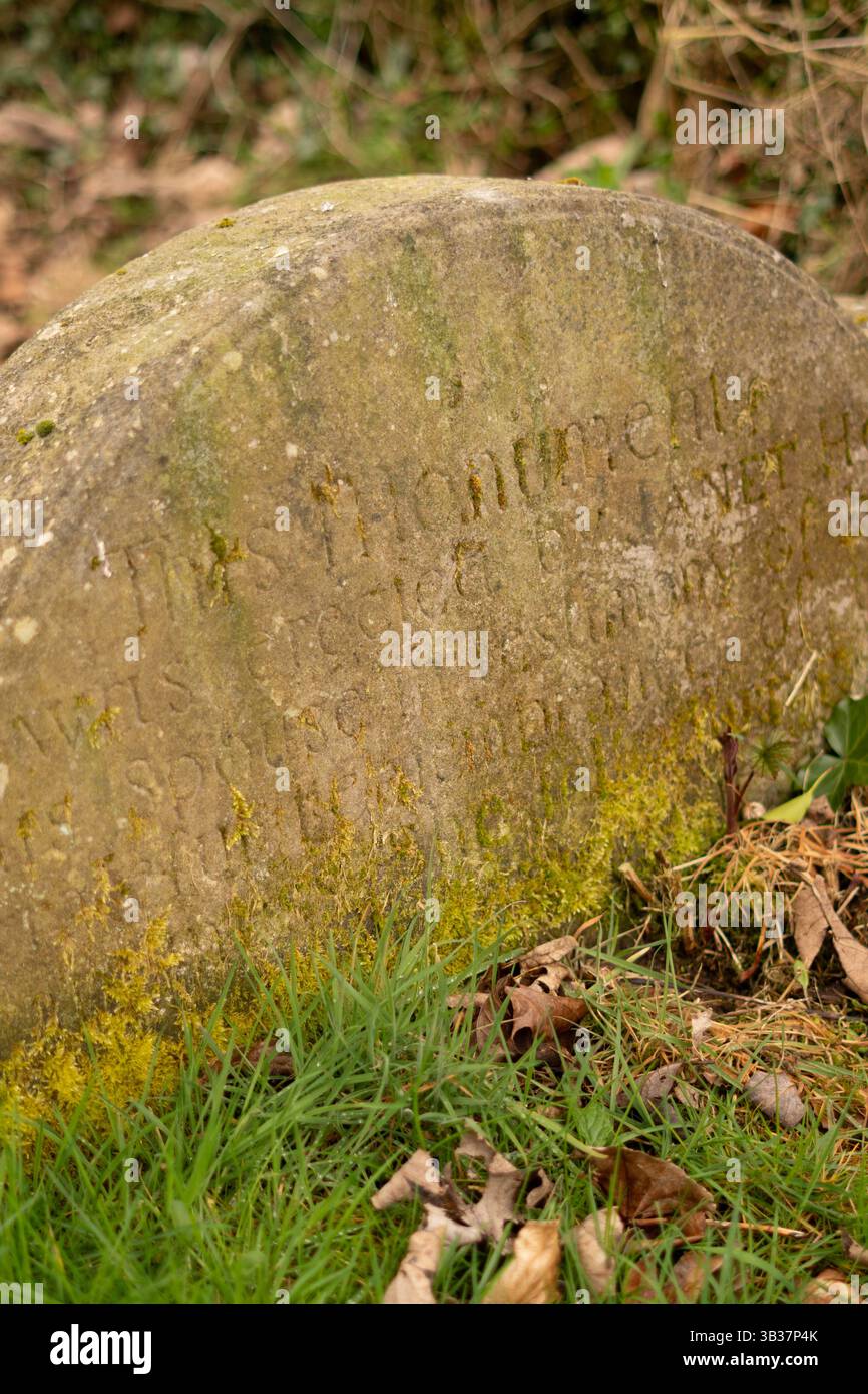 Ancient grave marker covered in green moss, located in a neglected ...