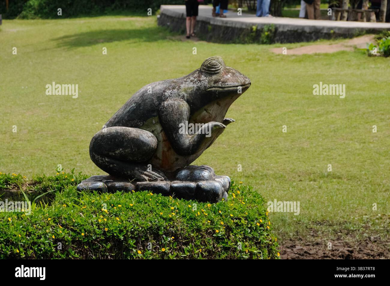 Old stone frog sitting hi-res stock photography and images - Alamy