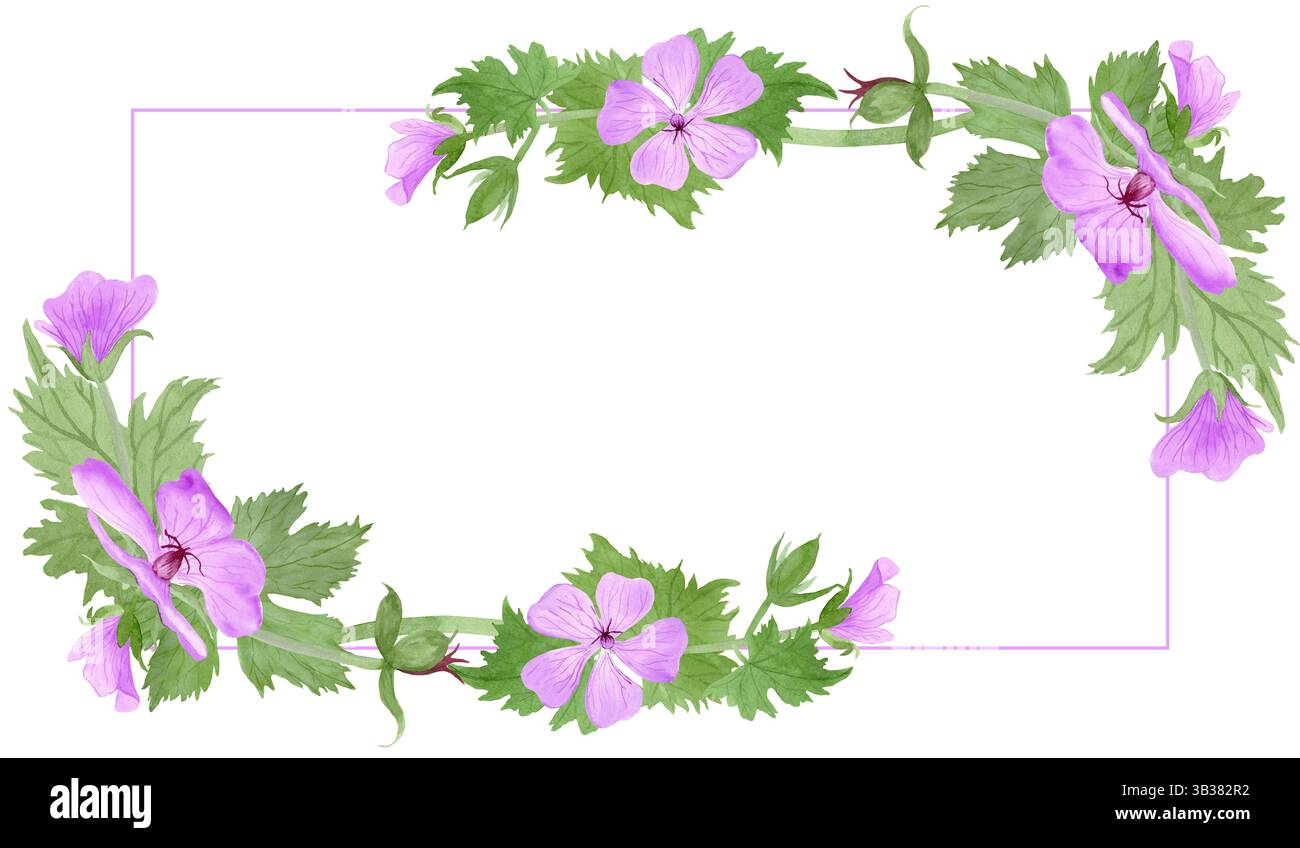Rectangle frame with light purple geranium maculatum flowers and leaves ...