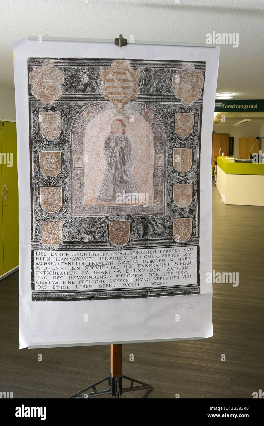 28 April 2025, Saxony-Anhalt, Halle (Saale): A tomb slab abrasion of ...