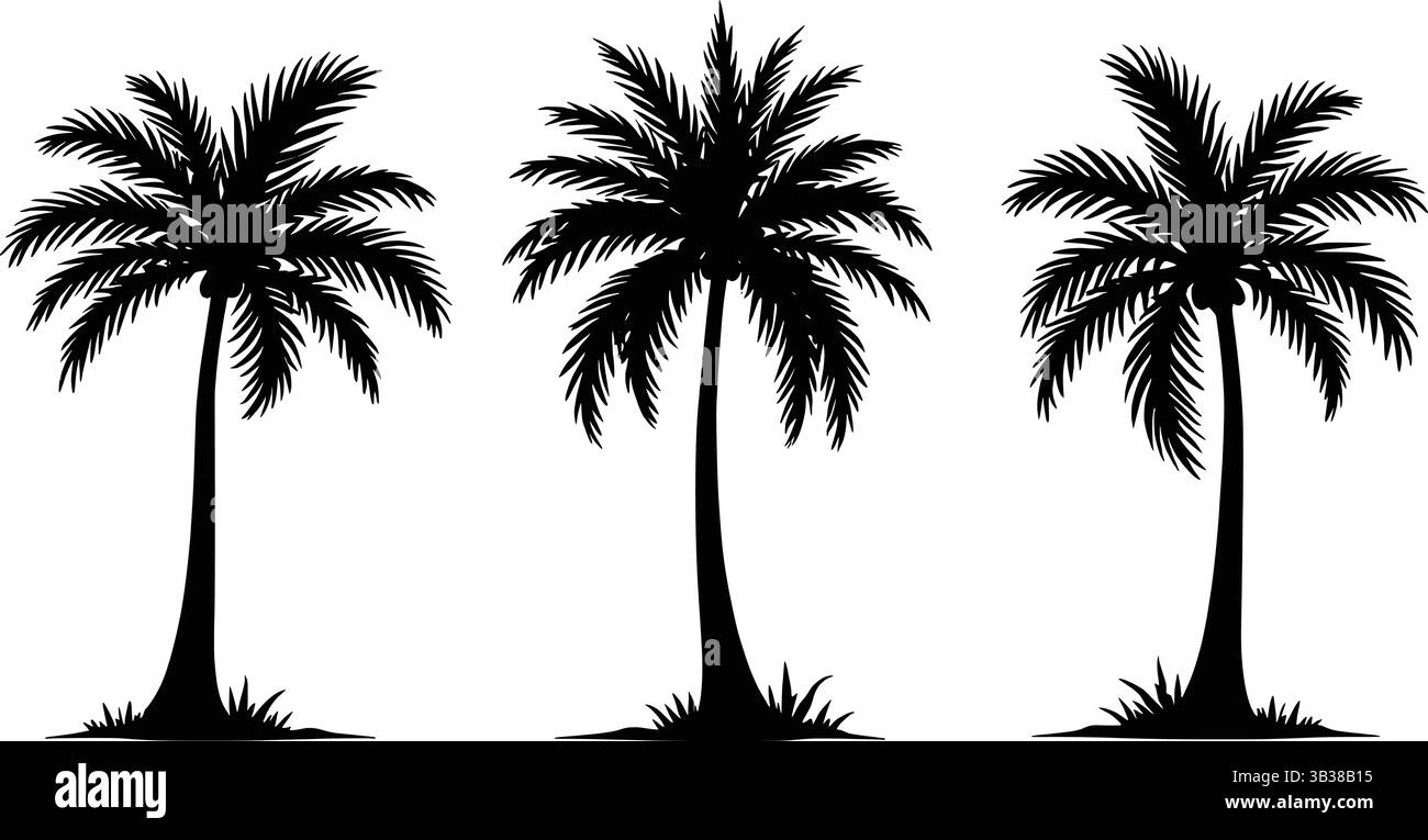 Minimalist Palm Tree Silhouettes – Tropical Vector Art in Symmetrical ...