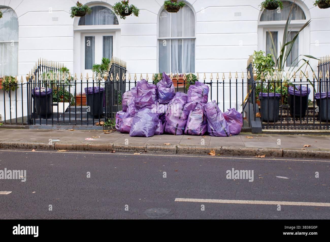 16 DEC 2024 - London, UK - Bin bags out for collection by the Bin ...