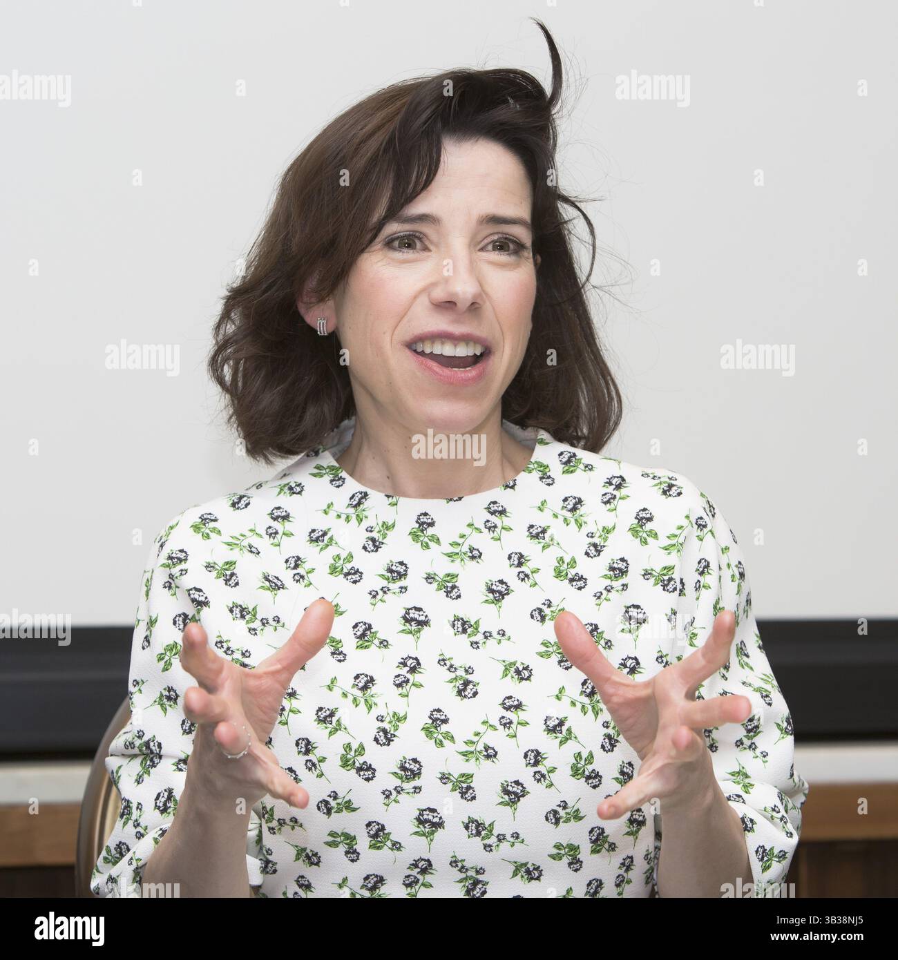 November 17, 2017 - Hollywood, CA, USA - Sally Hawkins stars in The ...