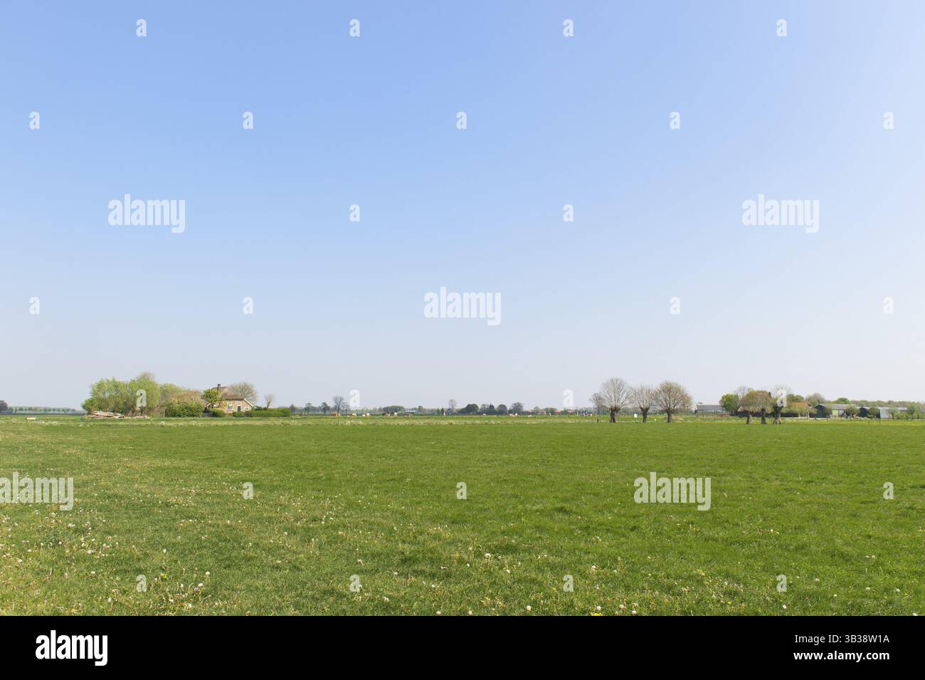 Typical Dutch flat landscape with meadows and horizon Stock Photo - Alamy